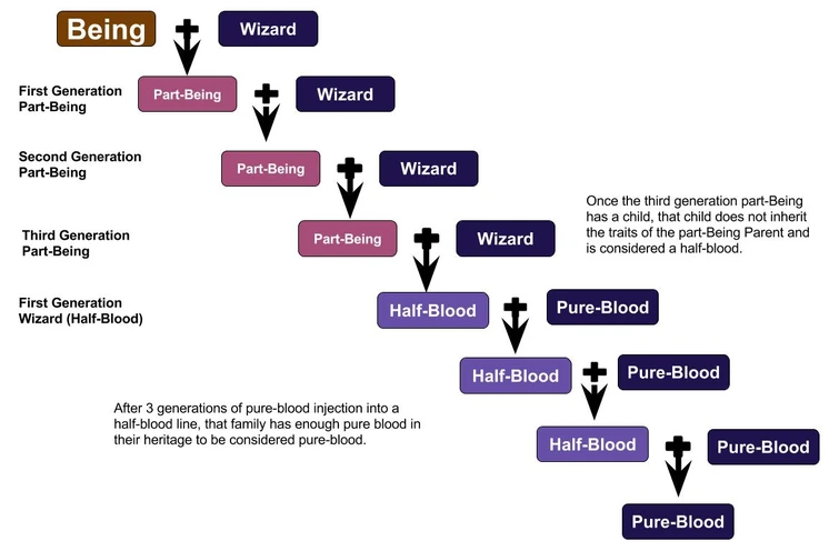 Muggleborns (Mudbloods) | Fandom