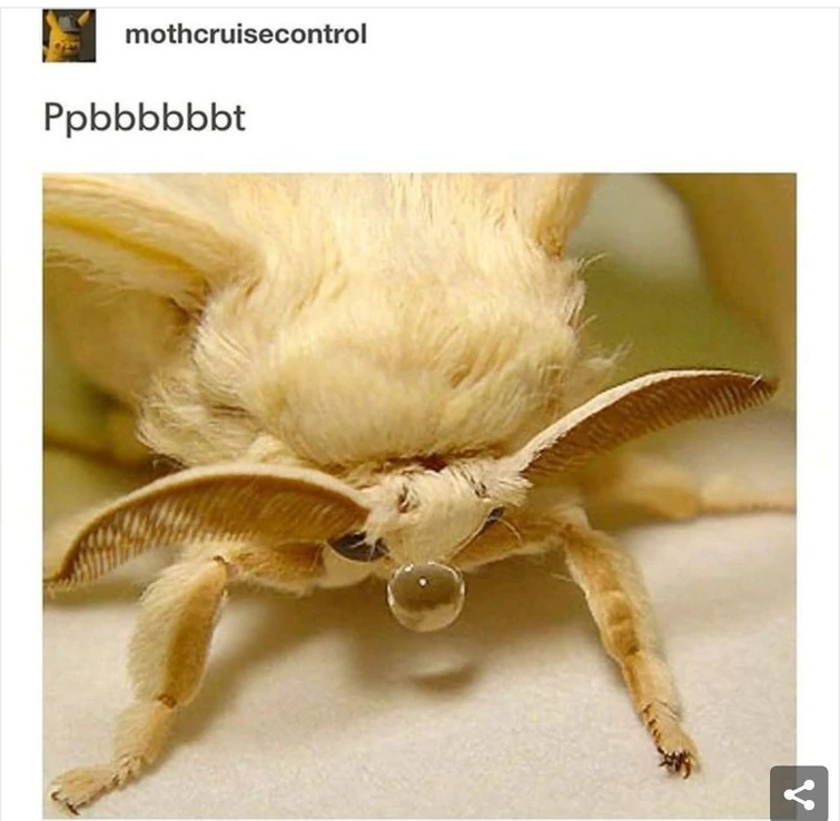 yet ANOTHER rant YIPPEE | Fandom