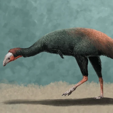 Discuss Everything About Dinopedia | Fandom