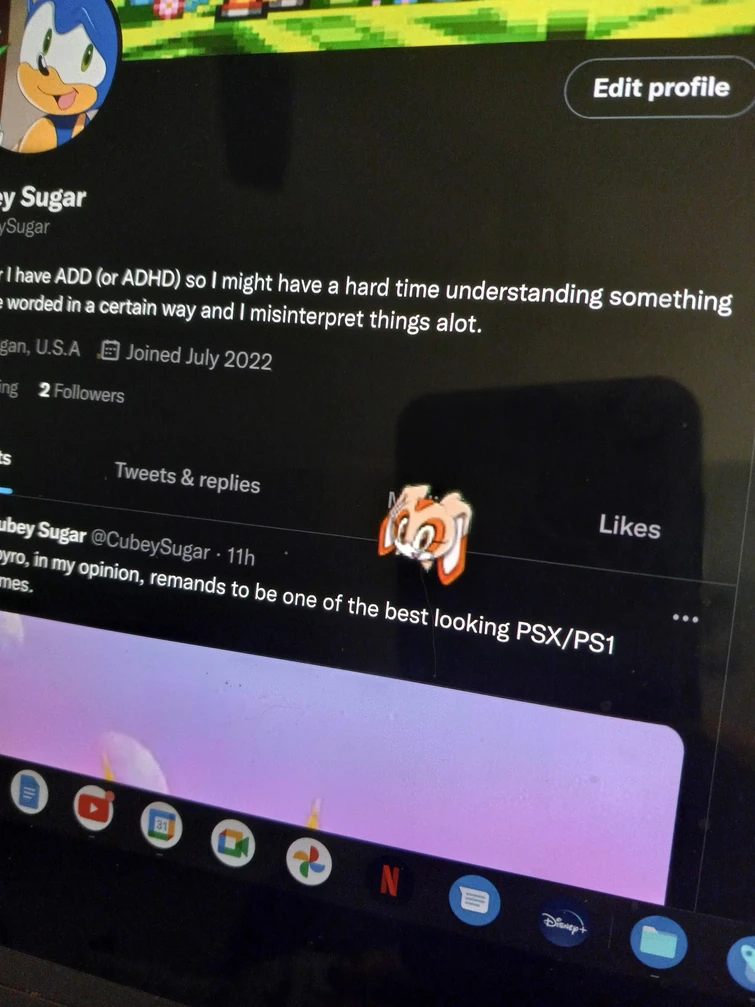 My custom Jet the Hawk cursor for my use of this wiki! | Fandom