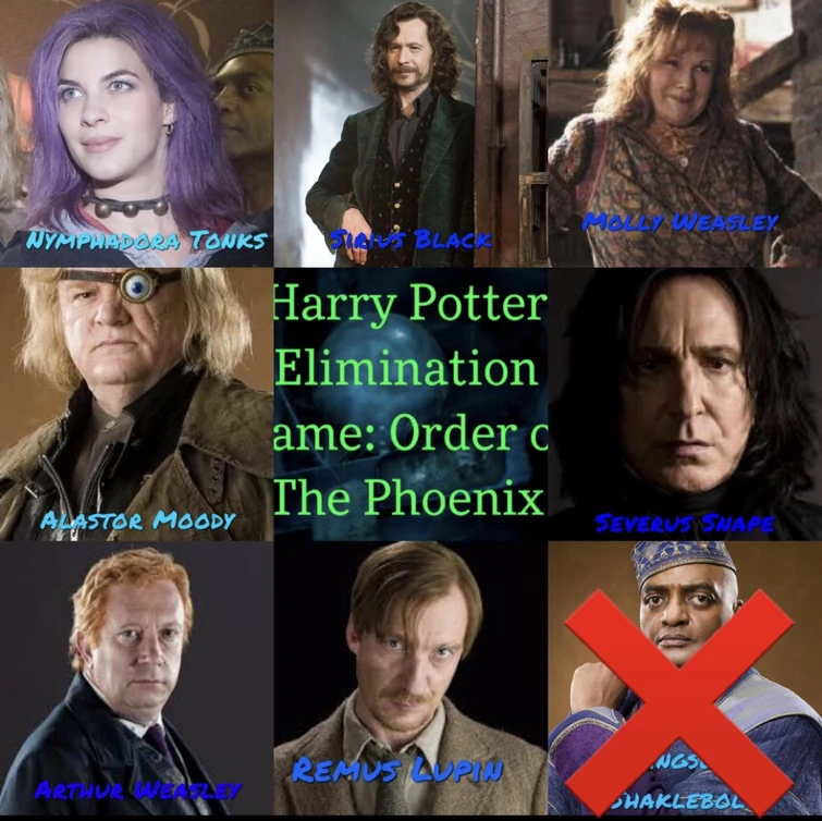 Harry Potter Elimination Game: Order of The Phoenix Edition | Fandom