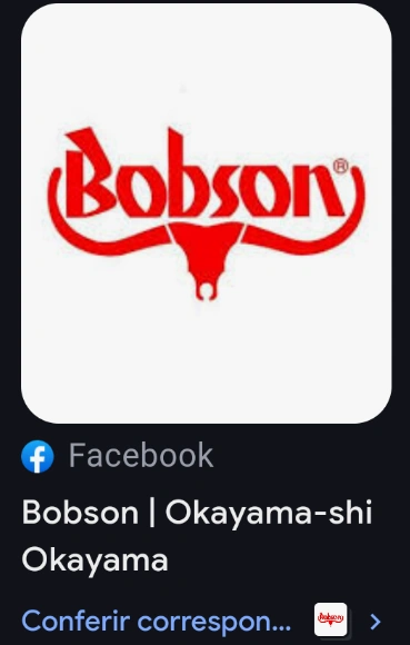 What does bobson's name actually means: | Fandom