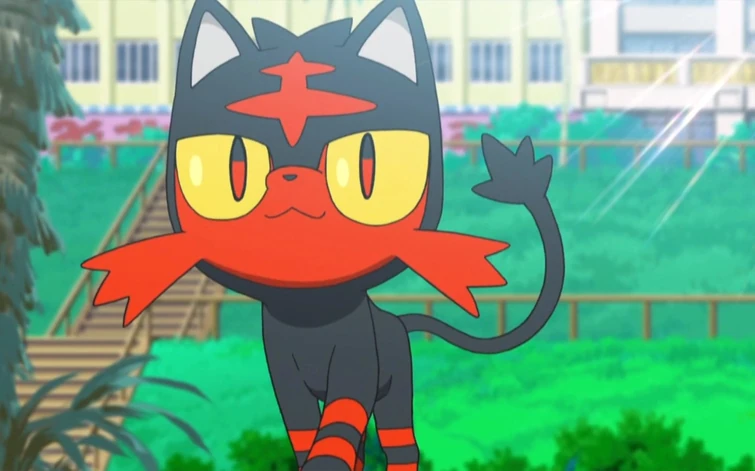 Litten | Fandom