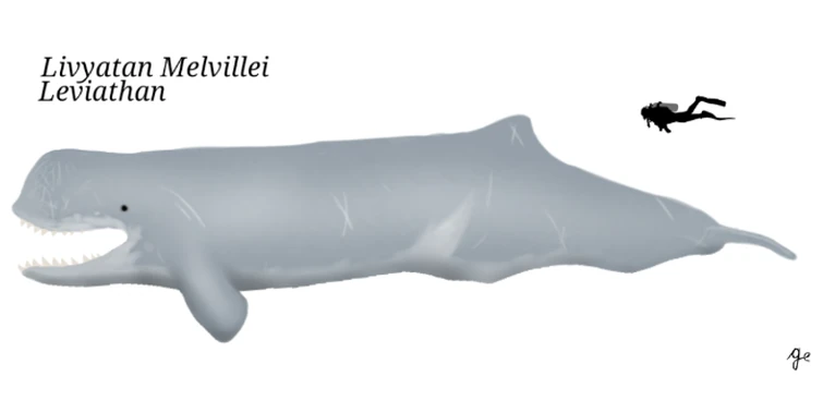 The Livyatan Melvillei (art by me | Fandom