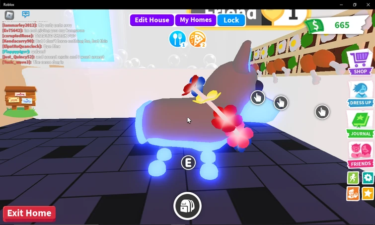 Drawing adopt me pets | Fandom