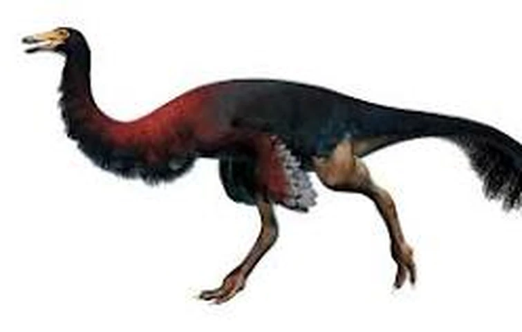 Discuss Everything About Creatures of Sonaria Wiki | Fandom