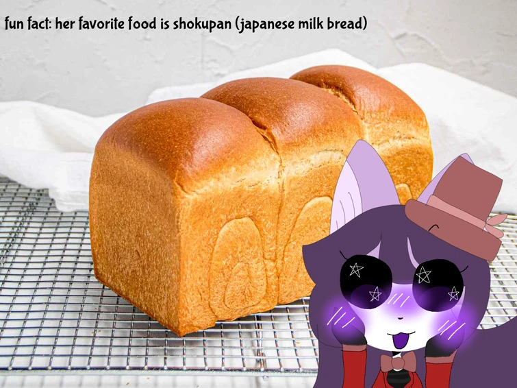 Discuss Everything About Indigo Park Wiki | Fandom