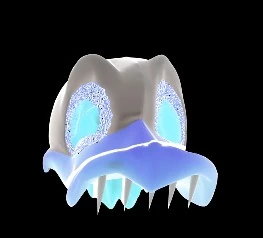 Nightmare PN Daisy | Abandoned: Discovery Island Fanon | Fandom