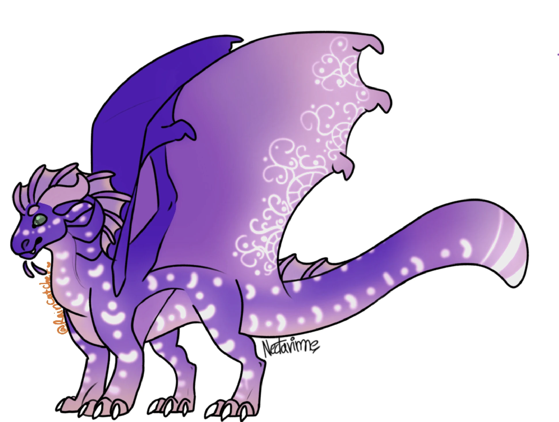 How do you draw royal SeaWing wing patterns? | Fandom