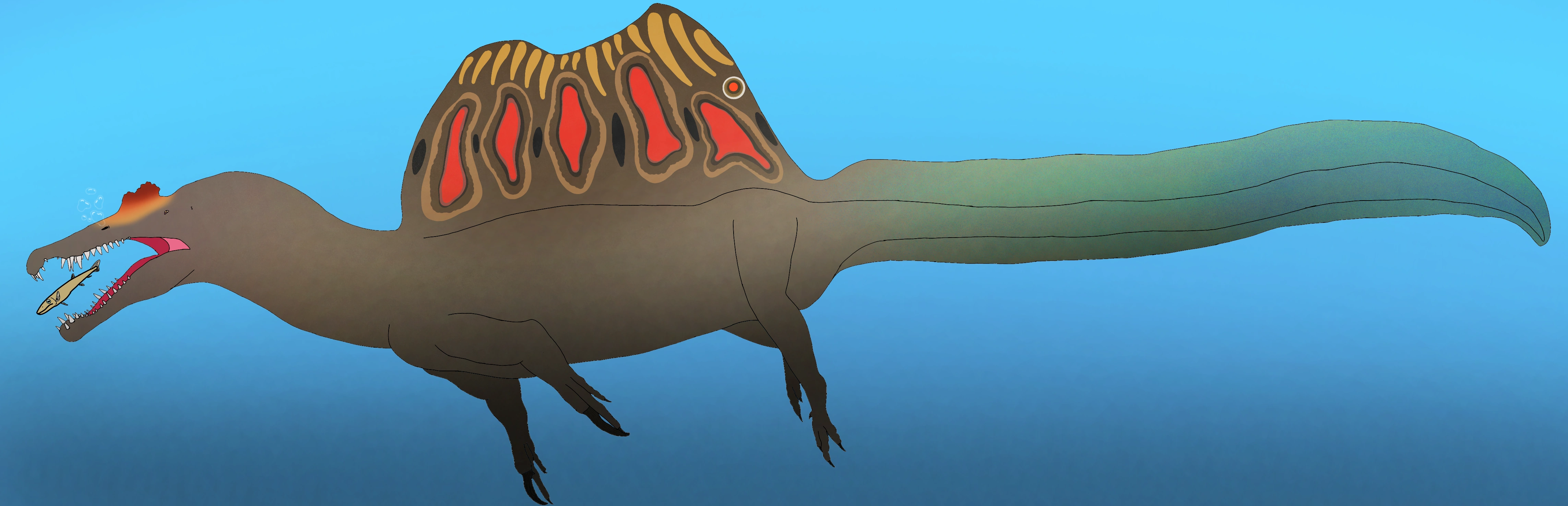 My drawing of Spinosaurus according to the skeleton | Fandom