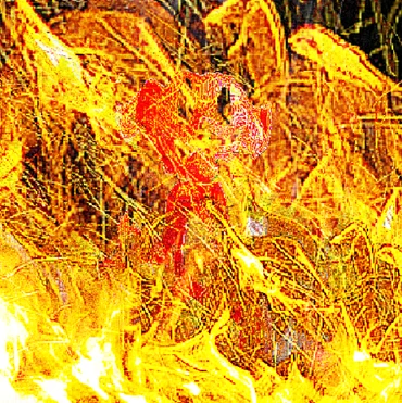 Discuss Everything About Tower Battles Battlefront Wiki | Fandom