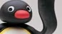 Pingu | ABC 4 Kids Wiki | Fandom
