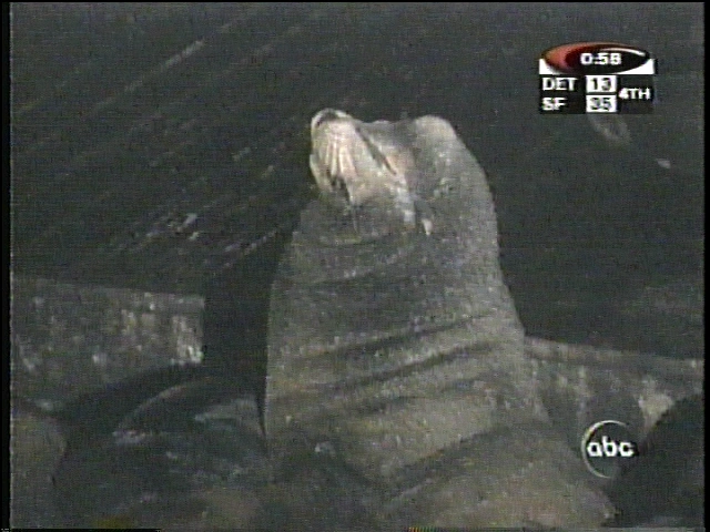 December 14, 1998 | ABC Broadcast Archive Wiki | Fandom