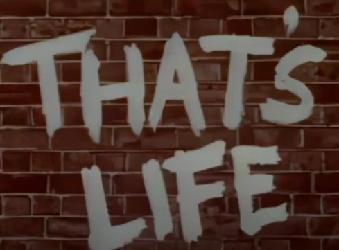 That's Life | ABC Broadcast Archive Wiki | Fandom