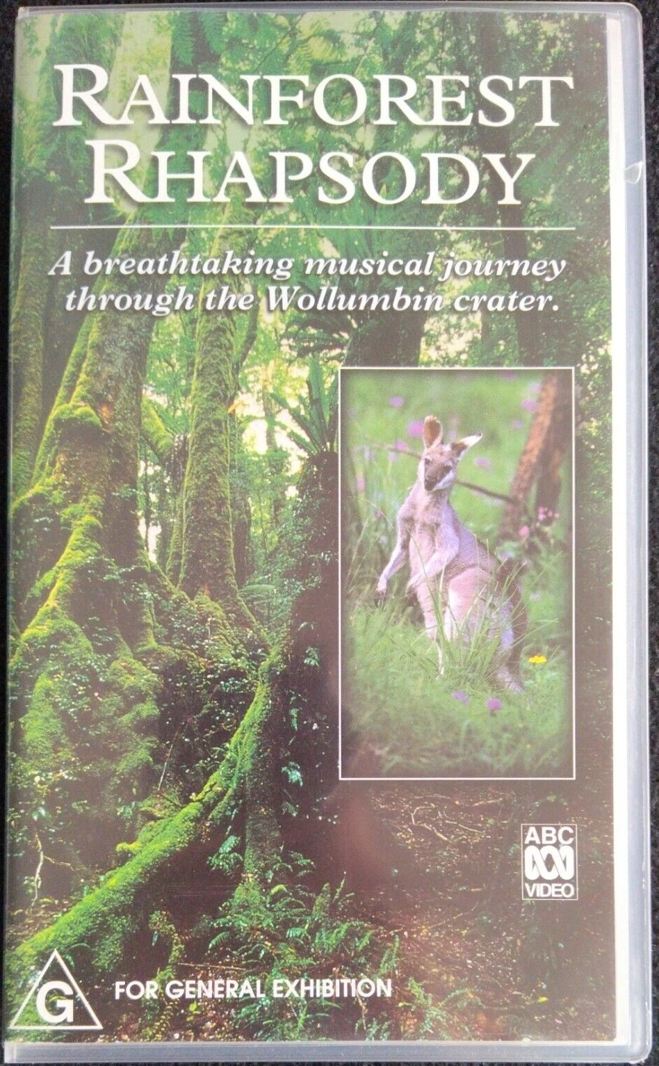Rainforest Rhapsody | ABC DVD Wiki | Fandom