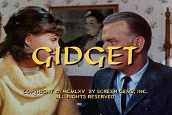 Gidget | ABC Wiki | Fandom