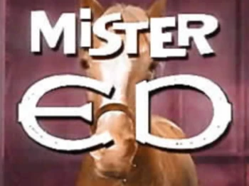 Mister Ed | ABC Wiki | Fandom