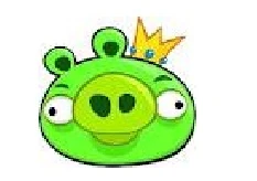 Pig Prother Pig | Angry Birds Character Creator Wiki | Fandom