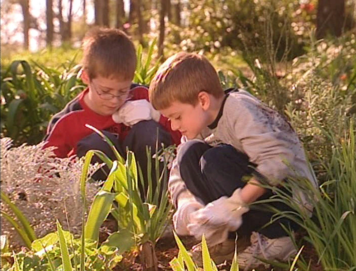 Simon Day | ABC For Kids Wiki | Fandom