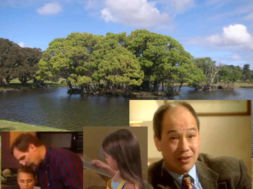 David Yip | ABC For Kids Wiki | Fandom