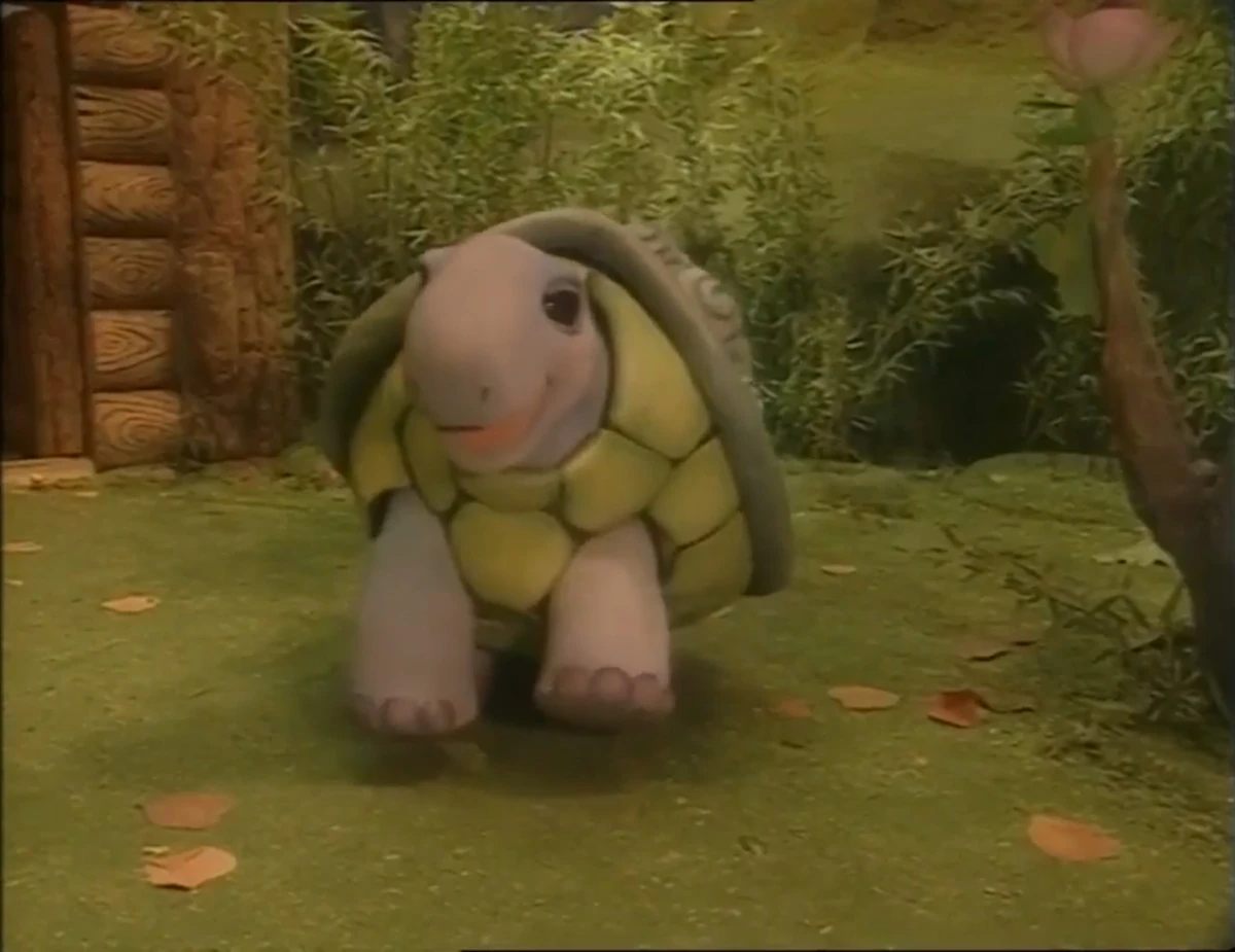 Tortoise | ABC For Kids Wiki | Fandom