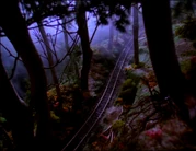 Fish (Season 4 episode)/Gallery | ABC For Kids Wiki | Fandom