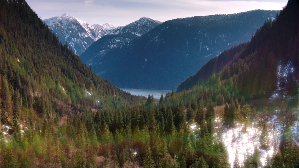 Enchanted Forest | Once Upon a Time Wikia | Fandom