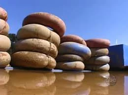 Donut Run | Wipeout Wiki | Fandom