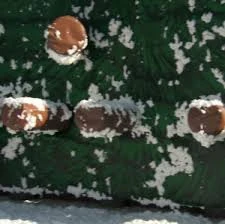 Frosty Family Tree | Wipeout Wiki | Fandom