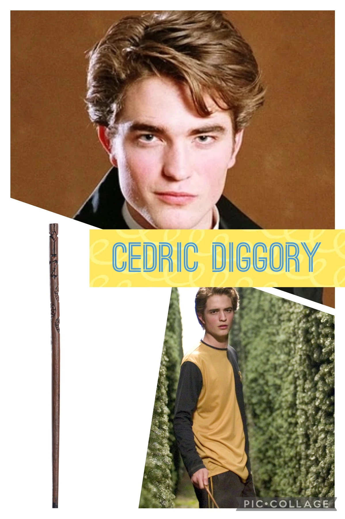 Cedric aesthetic | Fandom