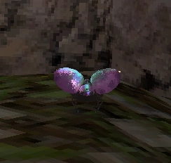 I LOVE BEETLE! | Fandom