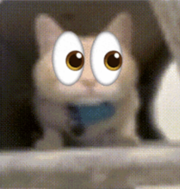 Bro after i turn him into a cat with comically large eyes | Fandom