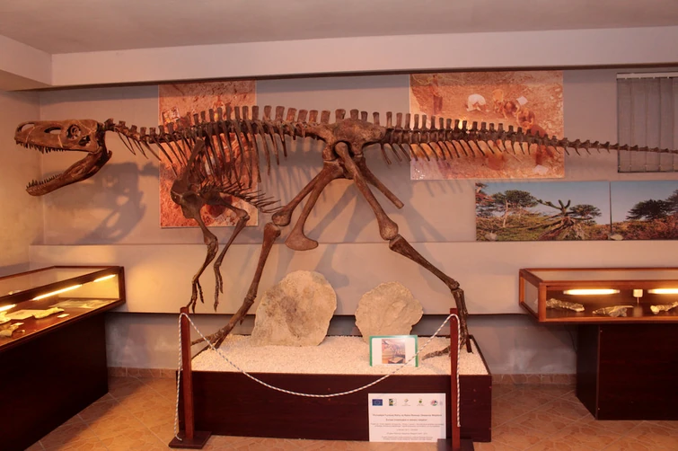 Discuss Everything About Dinopedia | Fandom