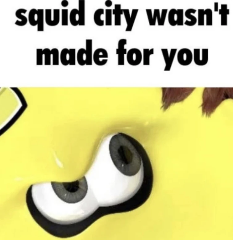 send your splatoon memes so I can never post them on imgflip nor will I ...