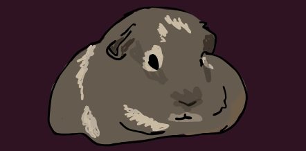 Me when I realize I have free will to make my guinea pig into a joke oc ...