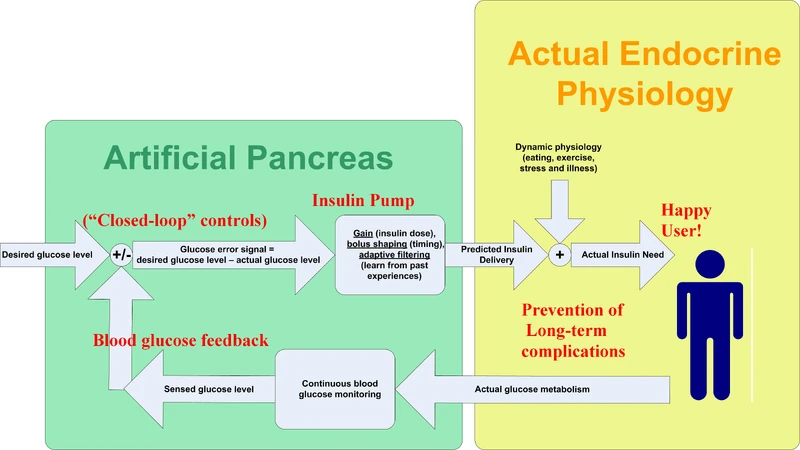 Closed-loop | Artificial Pancreas Algorithm Project | Fandom