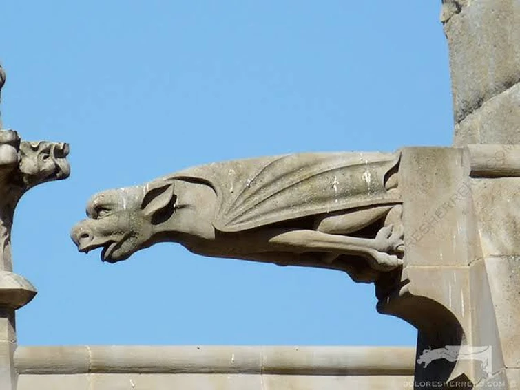 Gargoyle creature actual final post - Tier? | Fandom