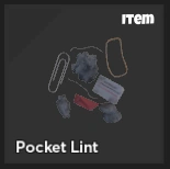 Pocket Lint | Ability Playground Wiki | Fandom