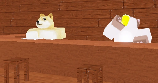 Cat (Character) | Ability Wars Wiki | Fandom