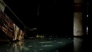 Room 3999.1:腐败商城 | Abnormal Place Wiki | Fandom