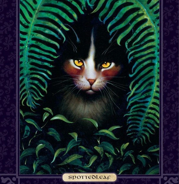 Spottedleaf | About Warriors Wiki | Fandom