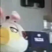 Bunny Matilda (Commonwealth Toys) | Angry Birds Plush Wiki | Fandom