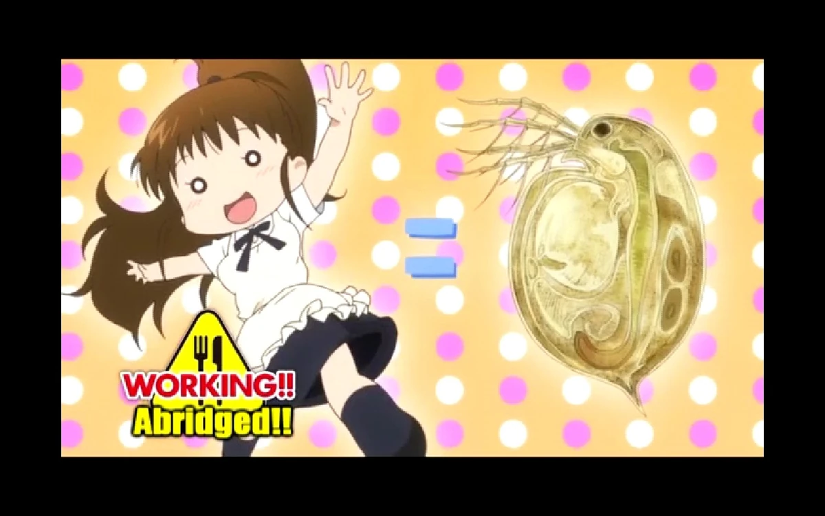 Working!! Abridged Episode 1 | Abridged Series Wiki | Fandom