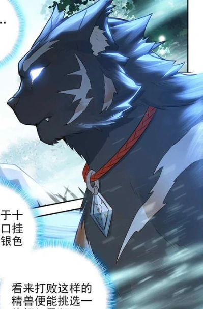 Spirit Beasts | Absolute Resonance Wiki | Fandom