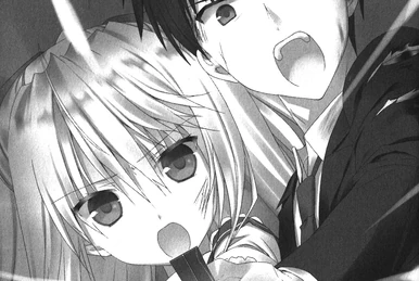 Absolute Duo Novel