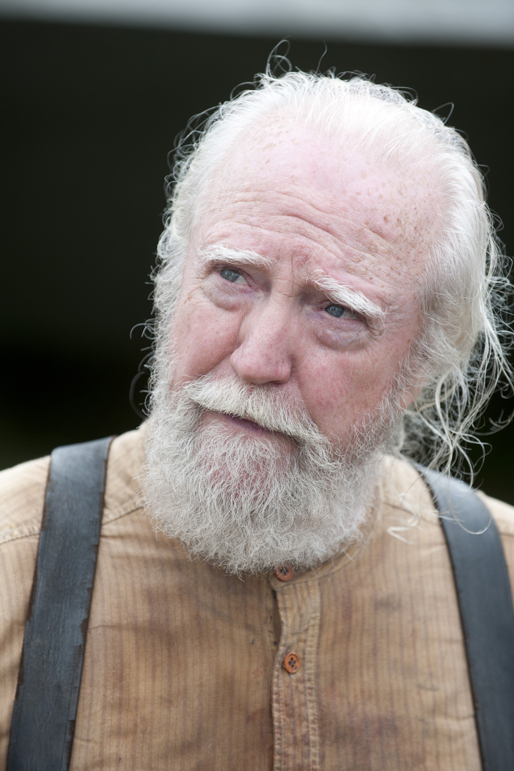 Hershel Greene | Absolute Horror Wiki | Fandom