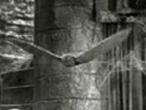 Igor (The Munsters) | Absolute Horror Wiki | Fandom