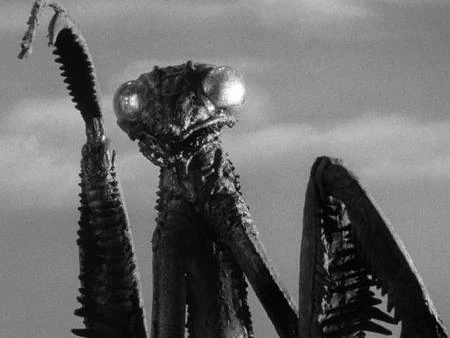 Giant Mantis | Absolute Horror Wiki | Fandom