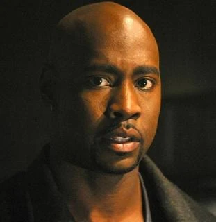 Robin Wood | Absolute Horror Wiki | Fandom