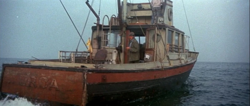 Orca (Jaws) | Absolute Horror Wiki | Fandom